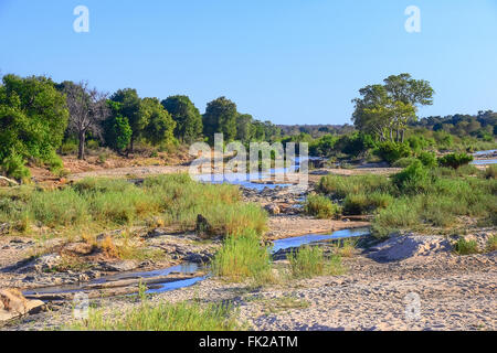Landscape with dirt road at the Kruger national park in South Africa ...