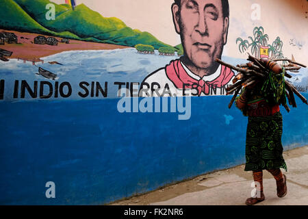 A woman from the Guna people carrying a bundle of sticks walks past a ...