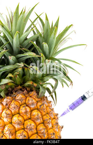 Genetic Modification, pineapple, fruit, modification, strange, surreal ...