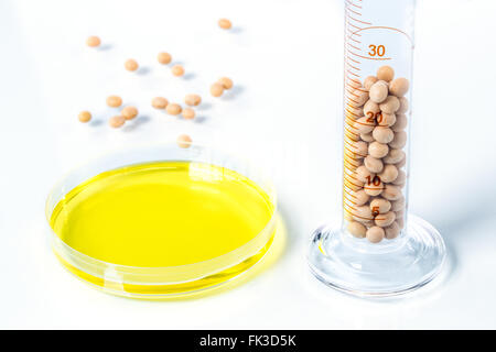 Soybean genetically modified, Plant Cell, laboratory Stock Photo - Alamy