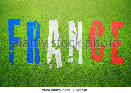 French flag and word France Stock Vector Art & Illustration, Vector ...