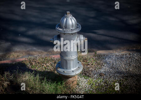 Silver Fire Hydrant seen in Memphis Stock Photo - Alamy