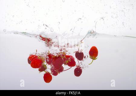 Strawberries in water Stock Photo - Alamy