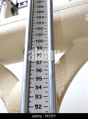 long measuring rod for measuring the height in an ancient scales in the ...