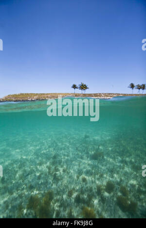 Siriba Island - one of the five islands of the archipelago of Abrolhos ...