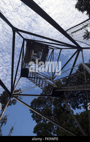 Brazil, Dawn at the Amazon Rainforest Stock Photo - Alamy