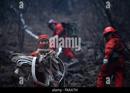 Firefighters are struggling to put out the fire Stock Photo - Alamy