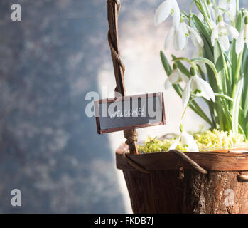 welcome hand lettering text and snowdrops Stock Photo - Alamy