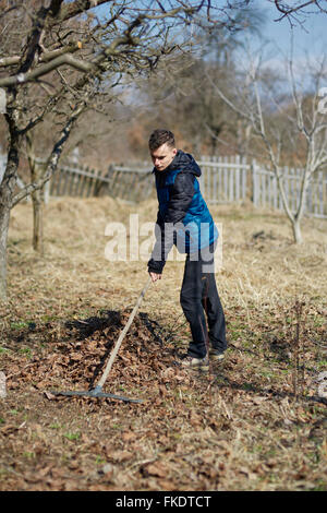 Yard man cleaning up fallen limbs with rake in yard by street - closeup ...