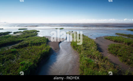 Coastal marsh, incoming tide. Steart Marshes. Somerset. UK Stock Photo ...