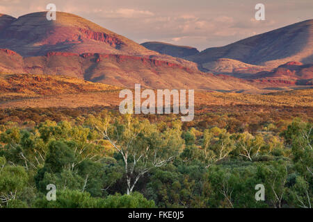 Australian outback landscape, Pilbara Western Australia Stock Photo ...