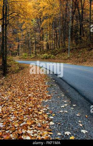 A curve in the road in the Great Smoky Mountains Stock Photo - Alamy