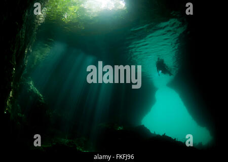 Shallow cave in dive site called The Passage with a snorkeler. North ...