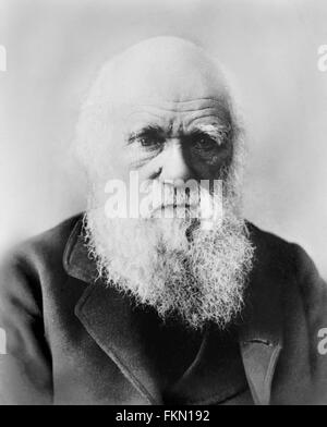 Charles Darwin. Portrait of the English naturalist, Charles Darwin ...