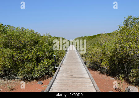 Streeter's Jetty, Broome, Western Australia Stock Photo - Alamy