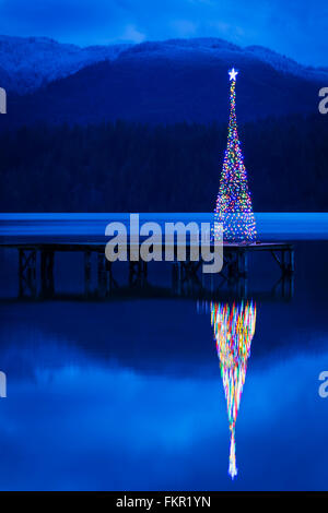A vertical shot of a tranquil lake reflecting green pine trees and ...