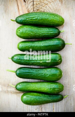 Fresh green cucumbers Stock Photo - Alamy