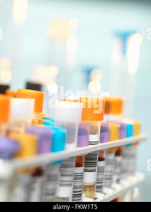Medical testing in laboratory Stock Photo - Alamy