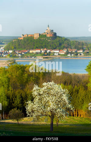 Güssing: Güssing Castle, , Burgenland, Austria Stock Photo - Alamy