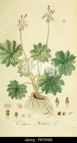 'Flora Europaea' showcases plant species native to Europe, with ...