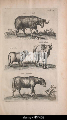 This early work focuses on the natural history of quadrupeds (four ...
