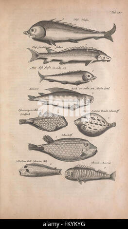 This early work provides descriptions of quadrupeds (four-legged ...