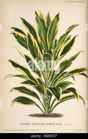 'L'Illustration Horticol' is a French horticultural journal offering ...