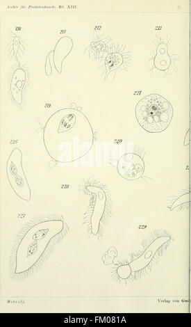 'Opalina - Its Anatomy and Reproduction' (1909) examines the anatomy ...