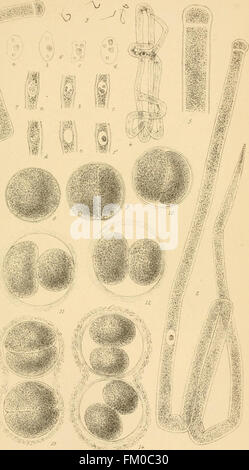 An 1870 scientific journal focusing on mathematical research ...