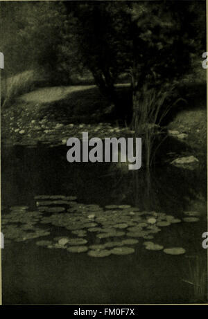 'The American Annual of Photography' (1922) showcases photographic ...