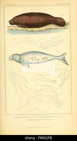 This foundational zoological work classifies animals based on their ...