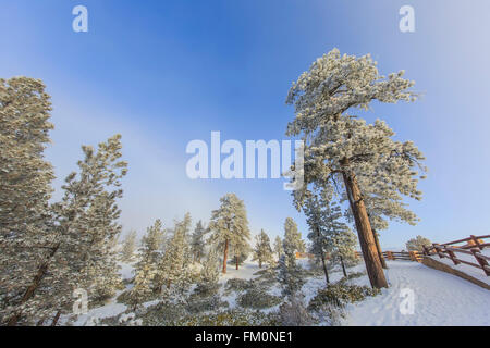 Superb view of Bryce Point of Bryce Canyon National Park at Utah Stock ...