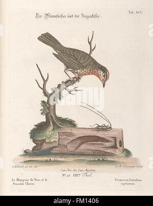 Verzameling van Uitlandsche en Zeldzaame Vogelen (Collection of Foreign ...