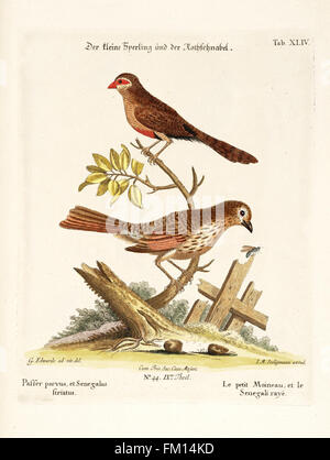 This illustration from 'Verzameling van uitlandsche en zeldzaame ...