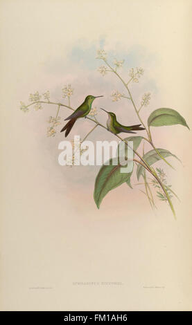 This monograph on hummingbirds from the Smithsonian Institution ...