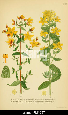 'Billeder af Nordens Flora' (Images of Northern Flora) is a botanical ...