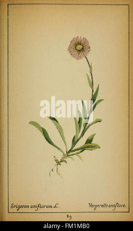 This plate features a selection of plants native to Central Europe ...