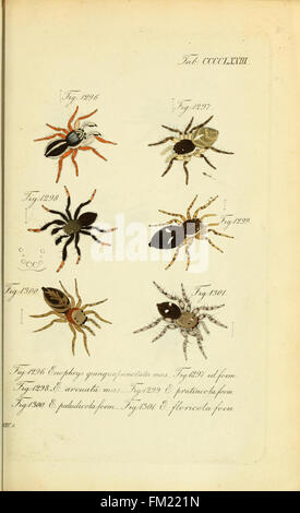 This scientific illustration focuses on arachnids as part of a ...