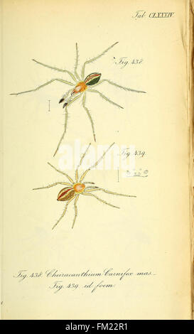 'Die Arachniden' features detailed illustrations of arachnid species ...