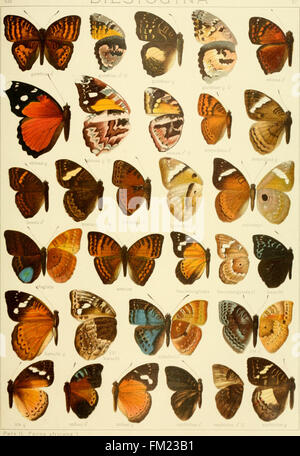 The large butterflies of the earth - a systematic treatment of the ...