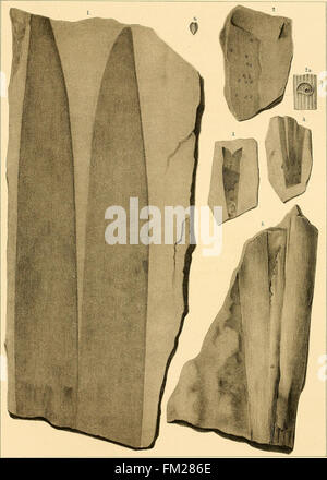 This 1861 work on Dyas, focusing on the Zechstein Formation and ...