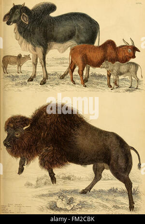 The *Edinburgh Journal of Natural History and Physical Sciences* (1839 ...