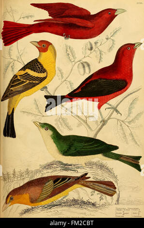 The 'Edinburgh Journal of Natural History and Physical Sciences' (1835 ...
