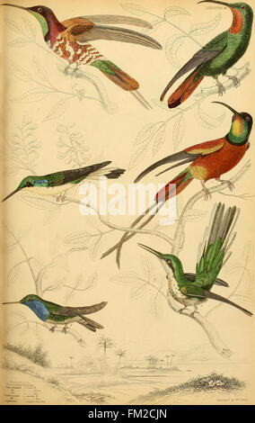 The 1835 Edinburgh Journal of Natural History and Physical Sciences ...