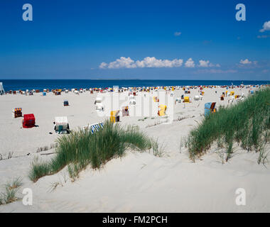 Dunes, Amrum Island, North Frisia, Schleswig-Holstein, Germany Stock ...