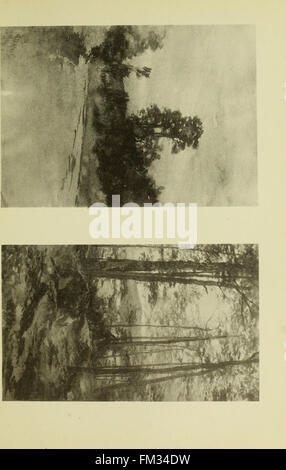 'Fifty-eight Paintings by Homer D. Martin' (1913) showcases the artist ...