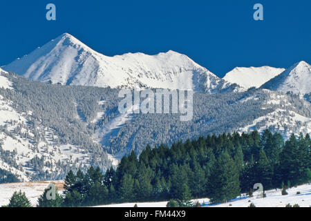 crazy mountains in winter near wilsall, montana Stock Photo - Alamy