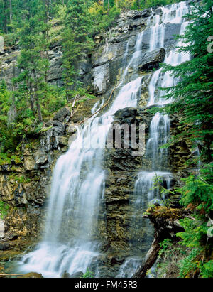 morrell creek falls in lolo national forest near seeley lake, montana ...