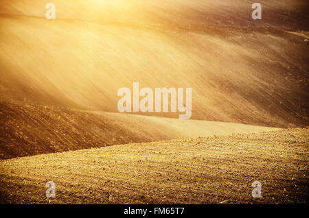 Earthy abstract background Stock Photo - Alamy