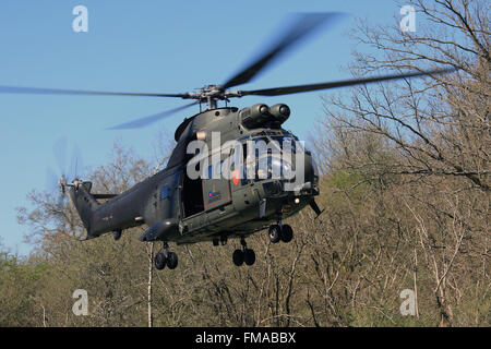 RAF Puma HC2 confined spaces flight training Stock Photo - Alamy